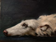Borzoi Dog Breed Information: Puppies, Breeders, and Care Guide - Just us Dogs